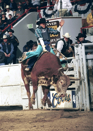 Denver Coliseum Denver, Colorado - MC Diamond Ranch