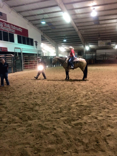 Texas Tech Equestrian Center Lubbock, Texas - MC Diamond Ranch