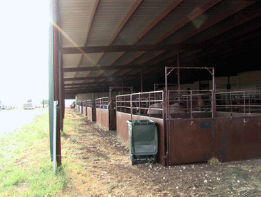 CTYRA Arena McGregor, Texas - MC Diamond Ranch