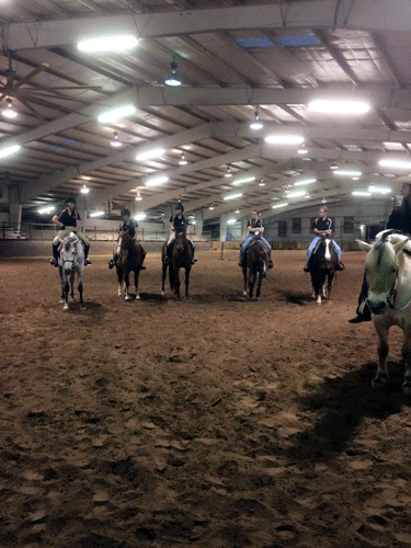 Texas Tech Equestrian Center Lubbock, Texas - MC Diamond Ranch