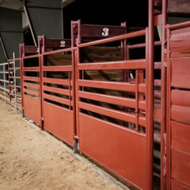 The John Volken Academy Ranch Gilbert, Arizona - MC Diamond Ranch