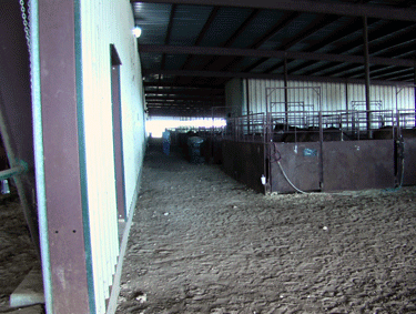 CTYRA Arena McGregor, Texas - MC Diamond Ranch