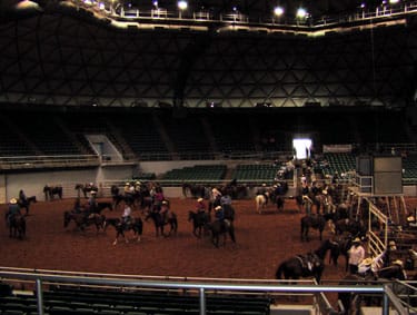 Bell County Expo Center Belton, Texas - MC Diamond Ranch
