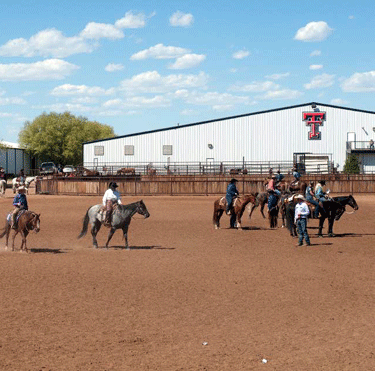 Texas Tech Equestrian Center Lubbock, Texas - MC Diamond Ranch