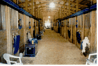 T. Ed Garrison Arena - Pendleton, South Carolina - MC Diamond Ranch