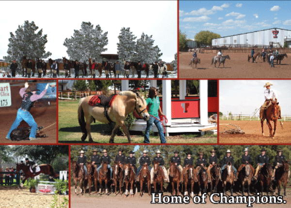 Texas Tech Equestrian Center Lubbock, Texas - MC Diamond Ranch