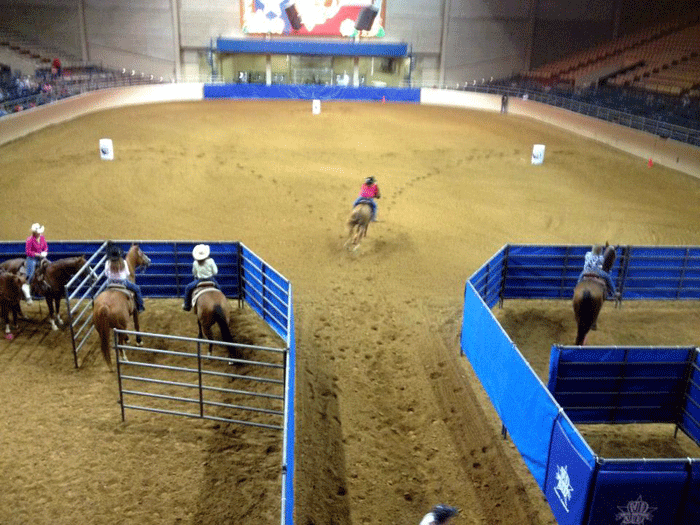 State Fair of Texas Arena Dallas, Texas - MC Diamond Ranch