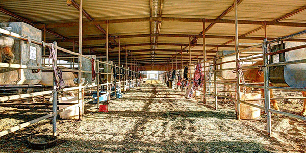 The John Volken Academy Ranch Gilbert, Arizona - MC Diamond Ranch